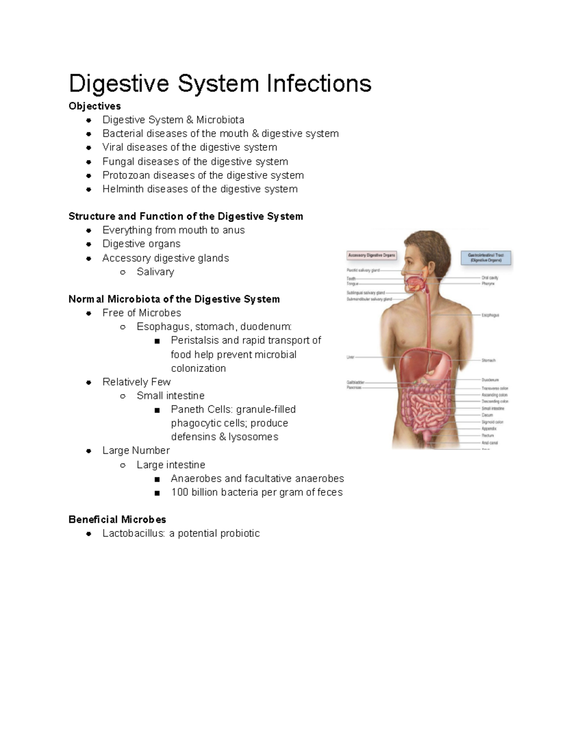 CH24 Digestive System Infections - Digestive System Infections ...