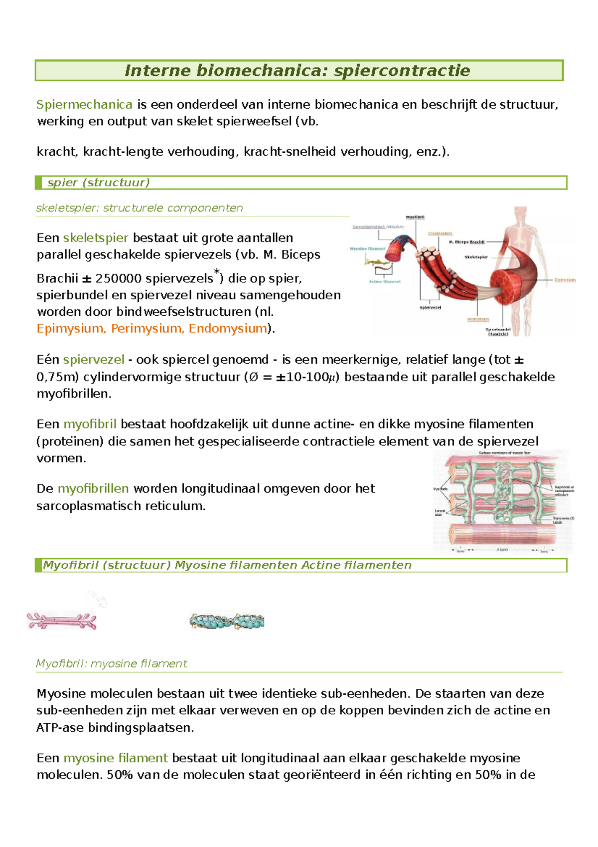 Interne biomechanica spiercontractie - Interne biomechanica ...