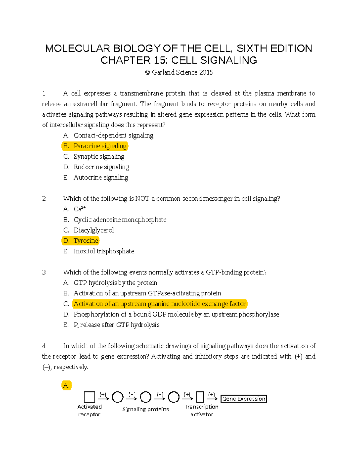 Doc - It includes lecture materials - MOLECULAR BIOLOGY OF THE CELL ...