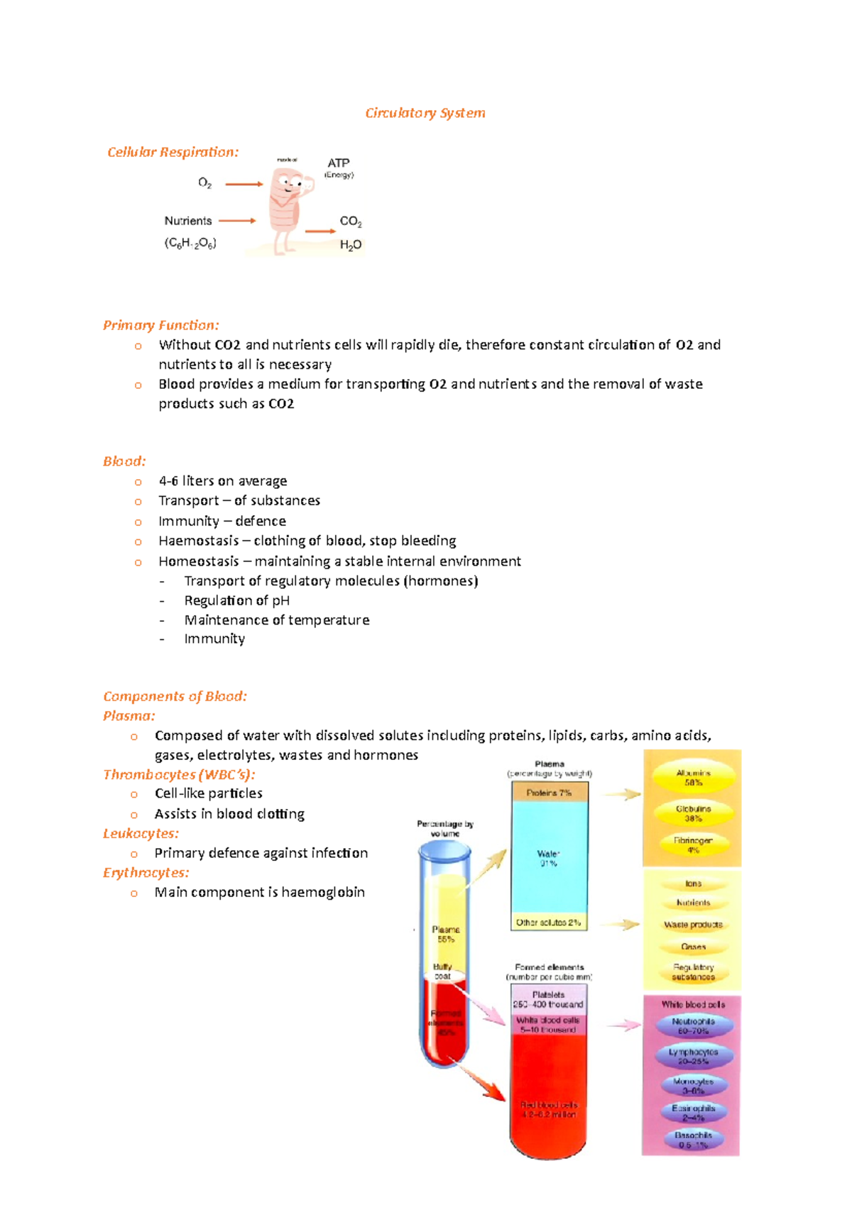 Circulatory System - Circulatory System Cellular Respiration: Primary ...