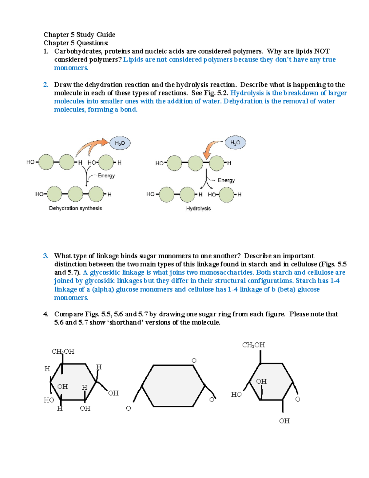 Chapter 5 Study Guide Updated 8 25 23 Chapter 5 Study Guide Chapter 5