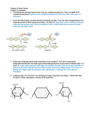 Chapter 6 study guide updated 8-25-23 - Chapter 6 Study Guide Chapter 6 ...