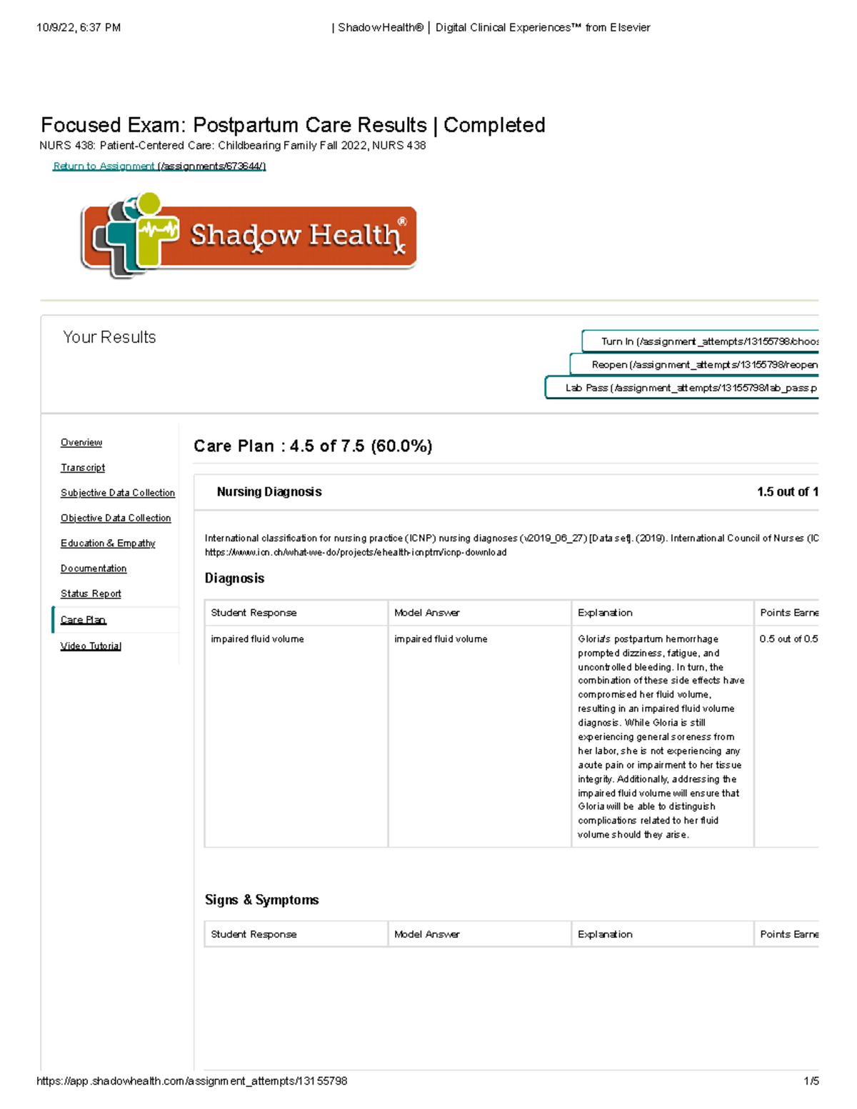 Shadow Health Postpartum Care Care Plan - Focused Exam: Postpartum Care ...