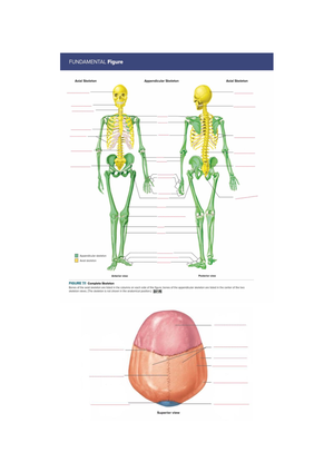Ethics Reviewer - Theories of Moral Development three main Moral ...