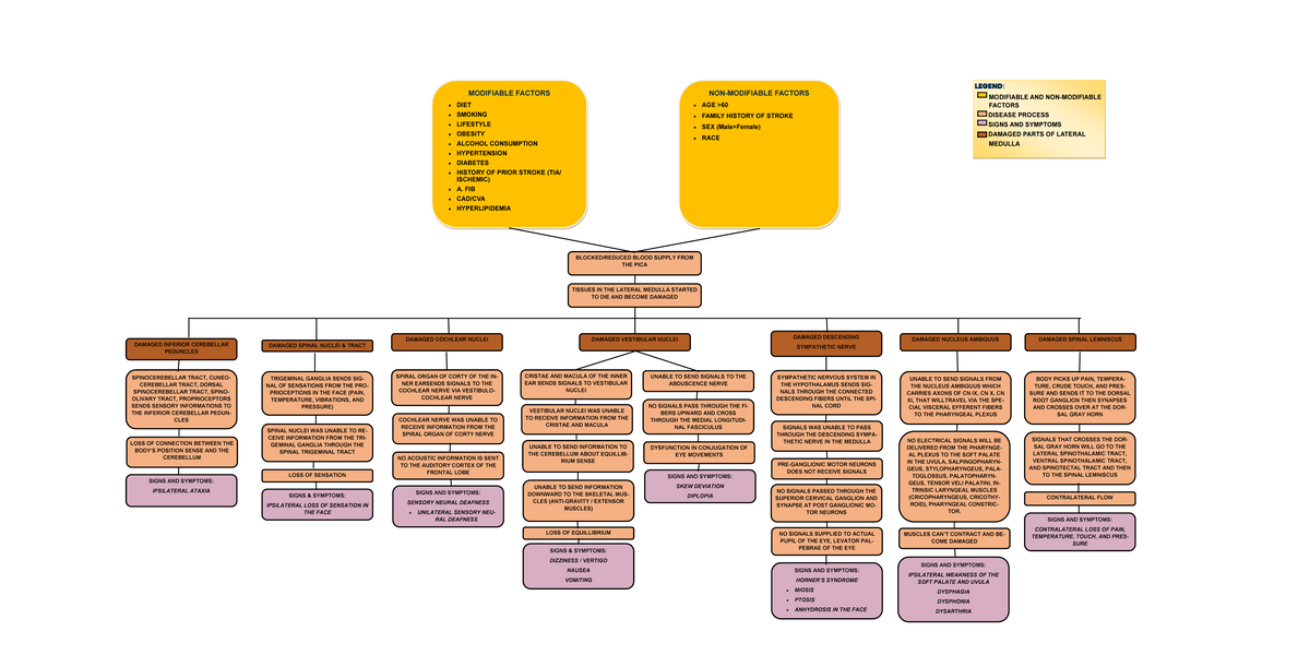 Wallenberg Syndrome Patho - LEGEND: MODIFIABLE AND NON-MODIFIABLE ...