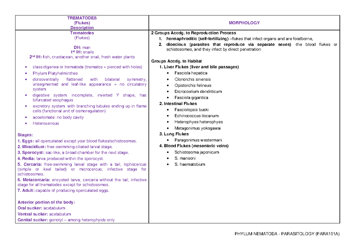 Trematodes - PARASITOLOGY CLASS - TREMATODES (Flukes) Description ...