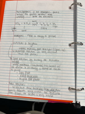 IMG 5007 - Codon Chart for mRNA and Protein synthesis - u C A G Phe ucu ...
