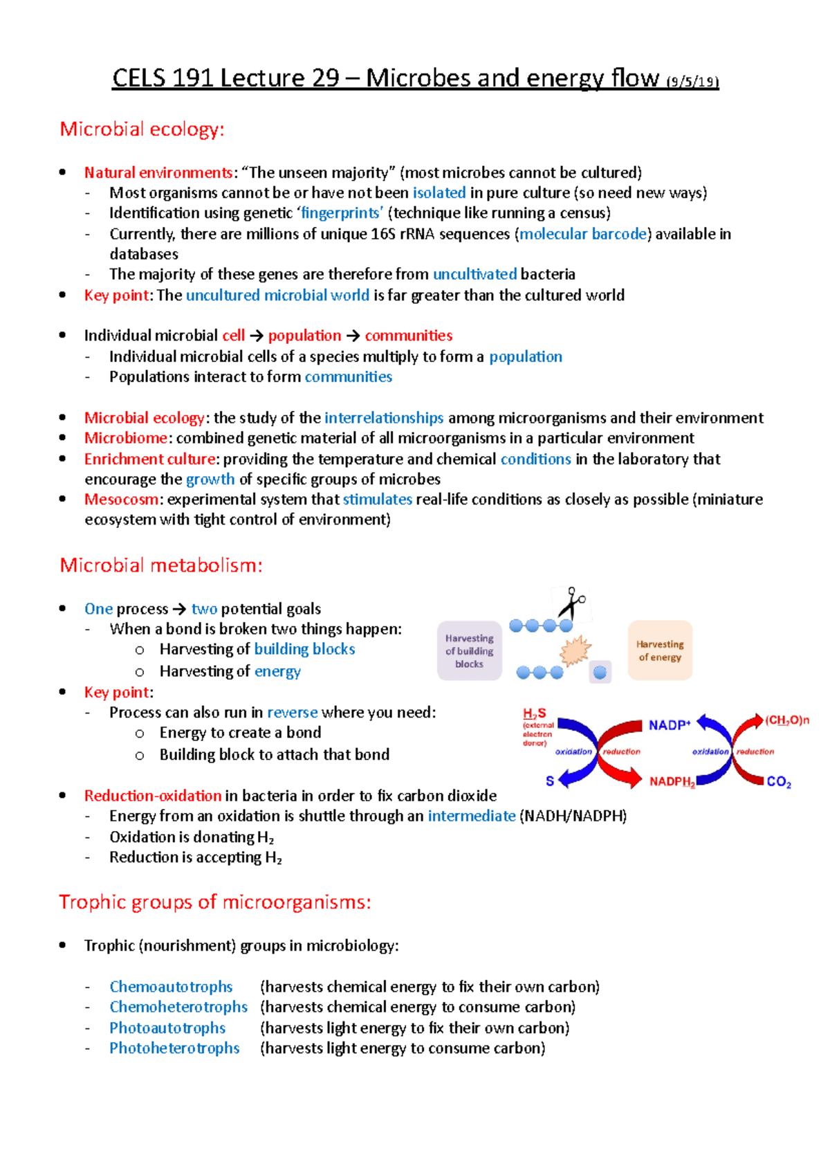 CELS 191 Lecture 29 - CELS 191 Lecture 29 – Microbes and energy flow (9 ...