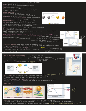 Biology 113 Cell Theory - BIO 113 - Studocu