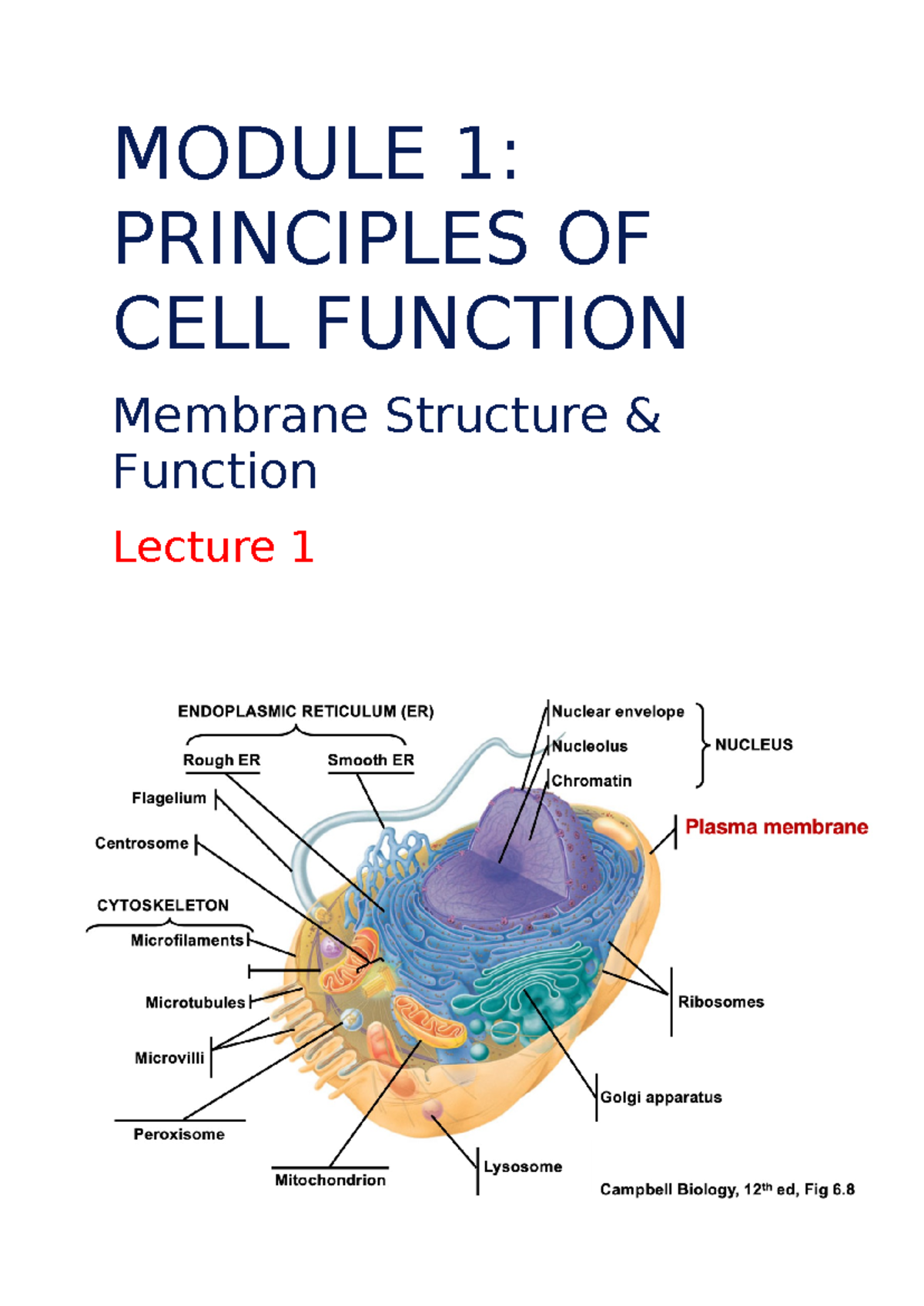 M1 Cell Function - LEC1 - MODULE 1: PRINCIPLES OF CELL FUNCTION Membrane Structure & Function ...
