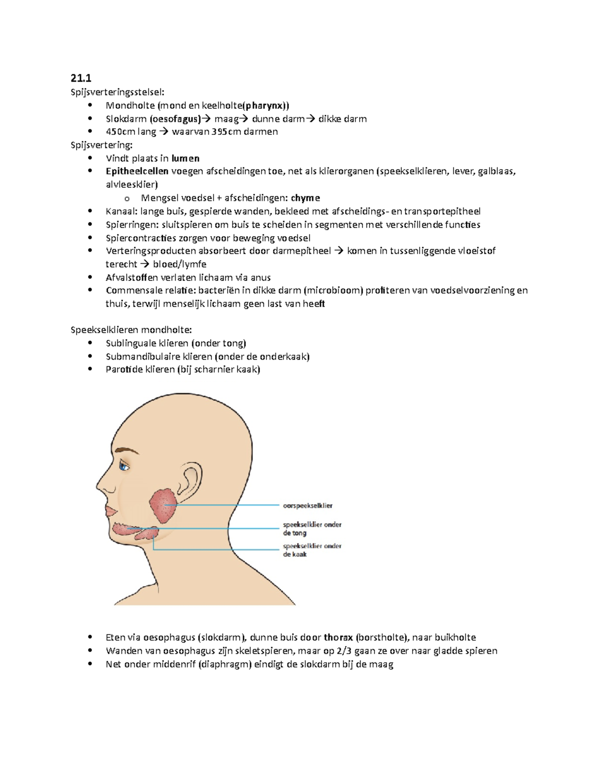 Silverthorn H21 diergeneeskunde - 21. Spijsverteringsstelsel: Mondholte ...