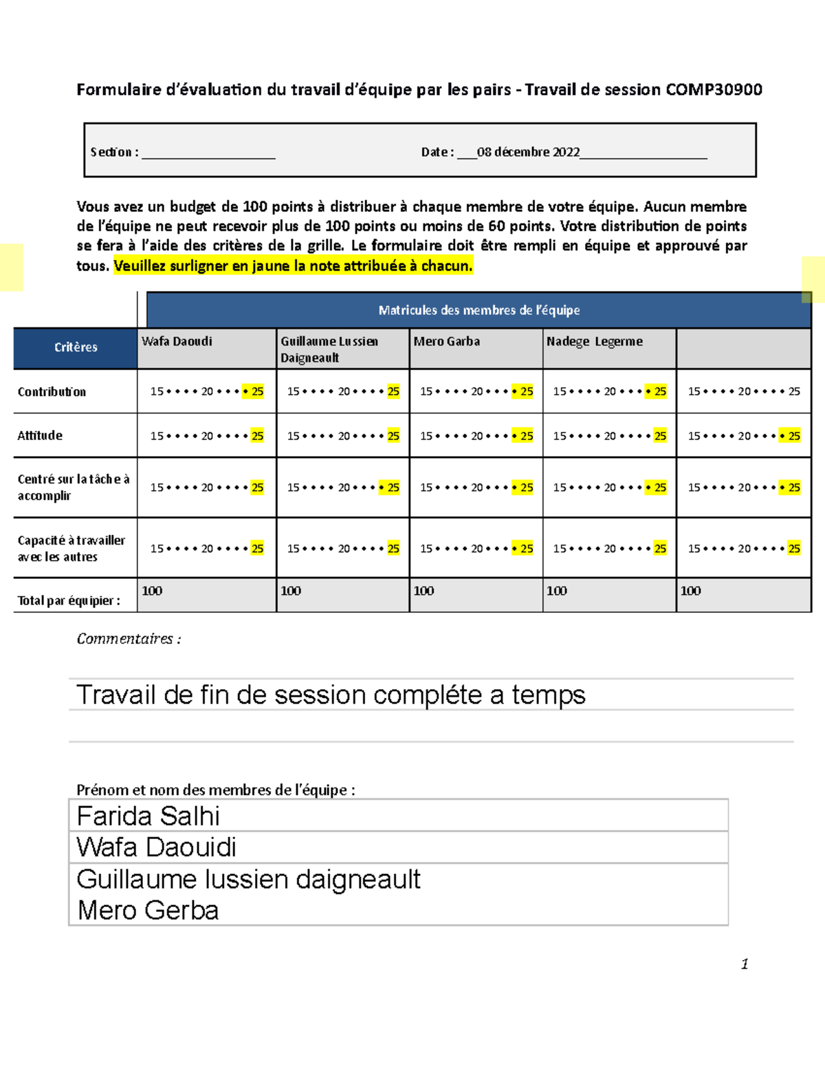 Évaluation par les pairs COMP30900 - Formulaire d’évaluation du travail ...