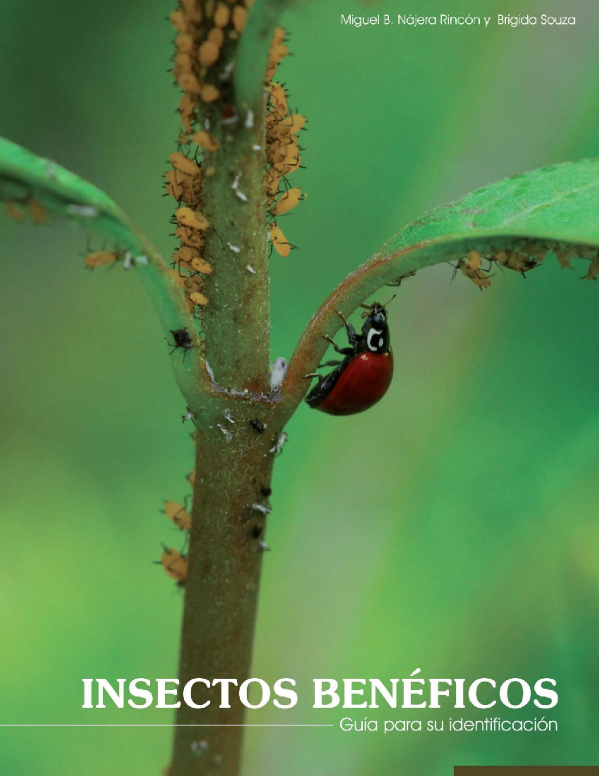 Guía para Identificar Insectos y sus Beneficio - Insect os Benéfi cos ...