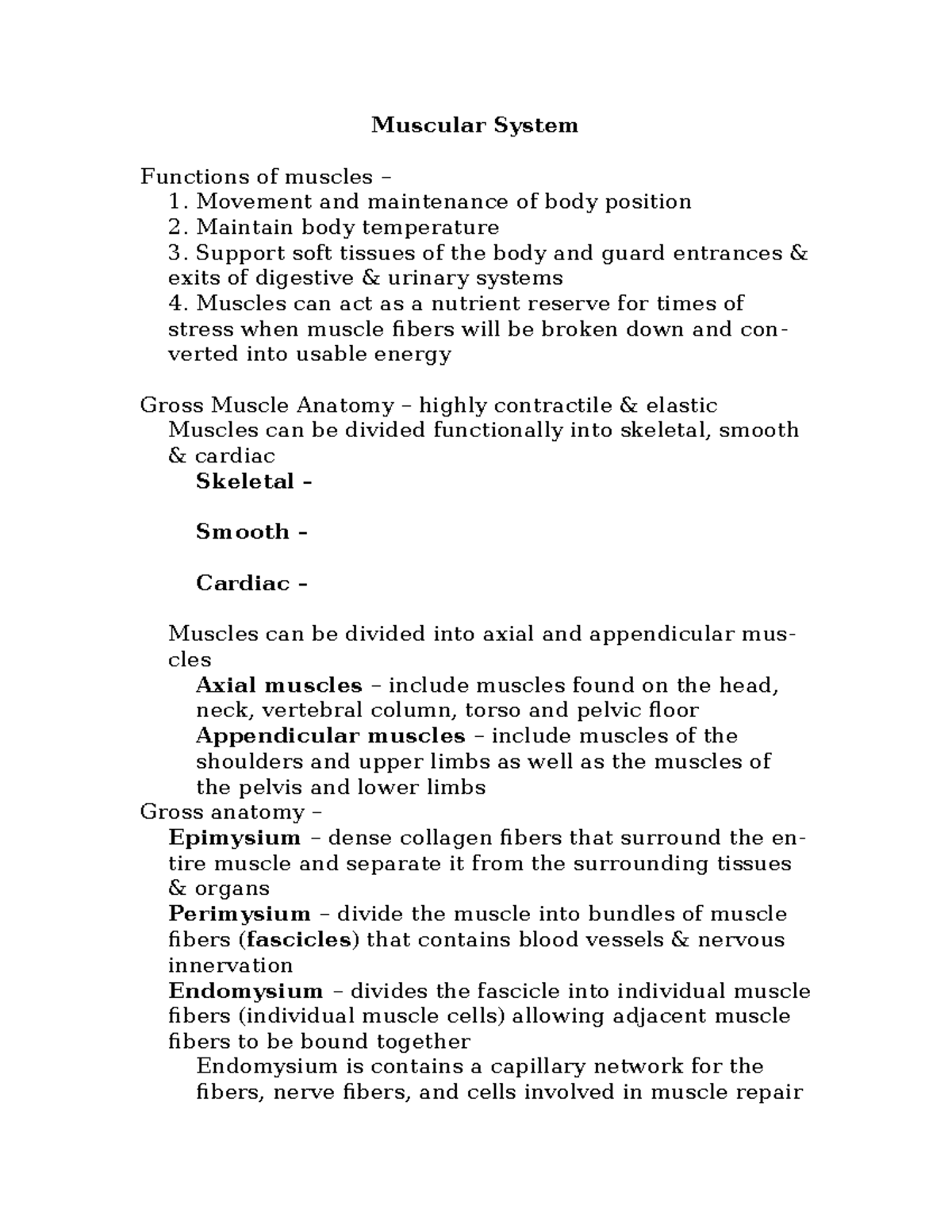 Muscular System - Muscular System Functions of muscles – 1. Movement ...