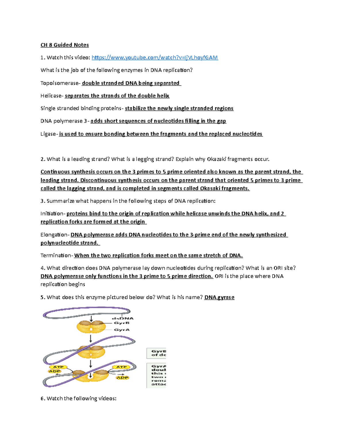 CH 8 Guided Notes - DNA replication in prokaryotic cell 3D animation ...