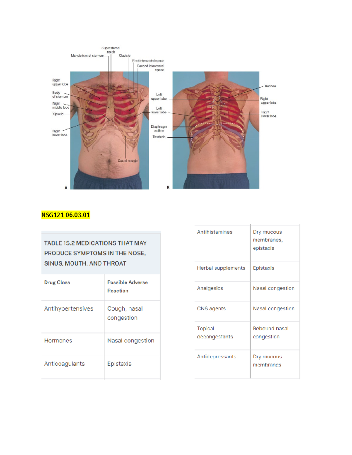 Module 6 Head Neck part 2 - NSG121 06. For the posterior approach ...