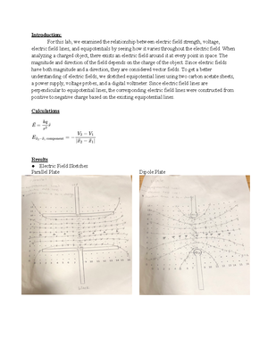 Lab #1 Electric Field Plotting - PHY 133 L Lab #1: Electric Field Plotting Introduction: In this ...
