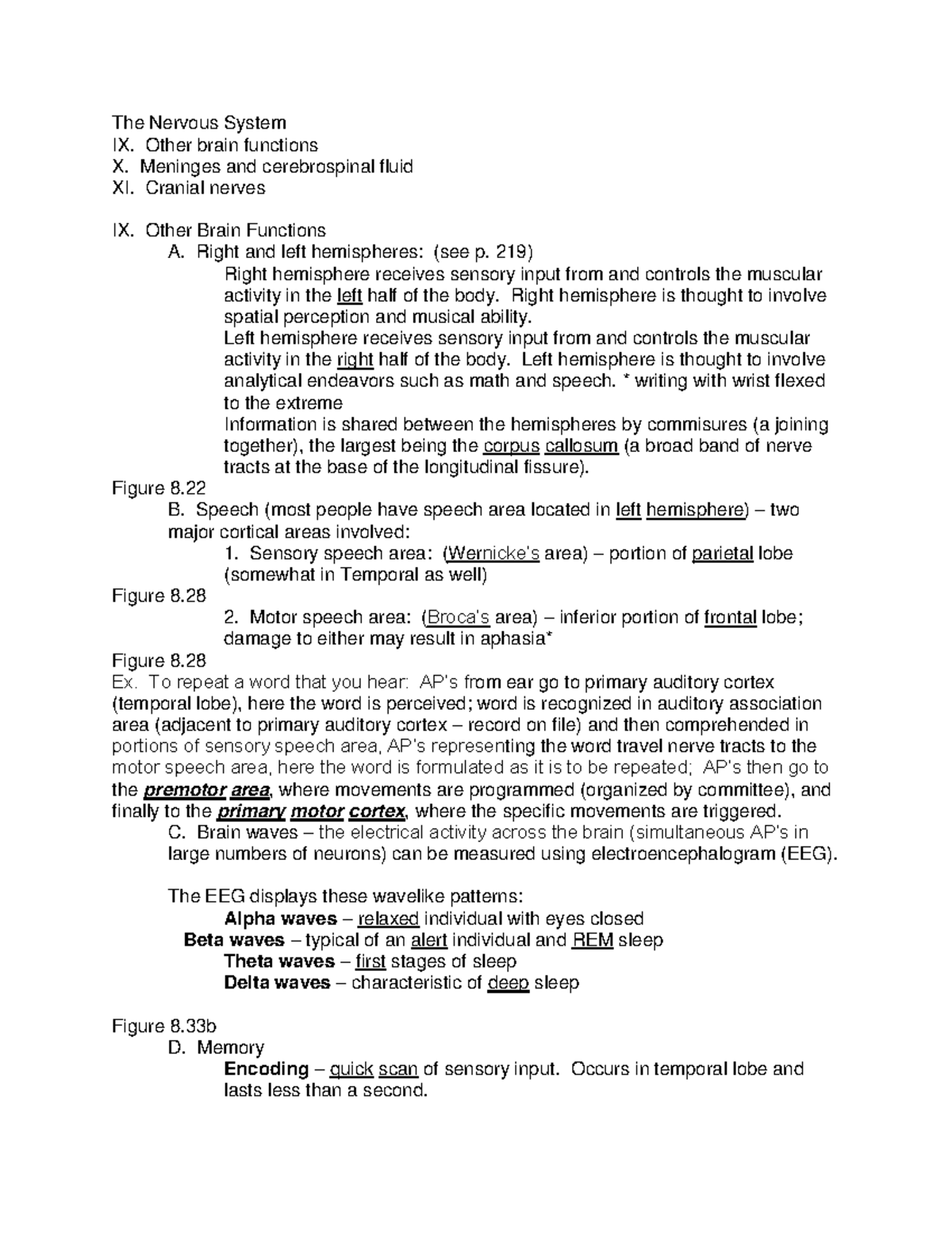 BIOL109 Ch8D Lecture notes - The Nervous System IX. Other brain ...