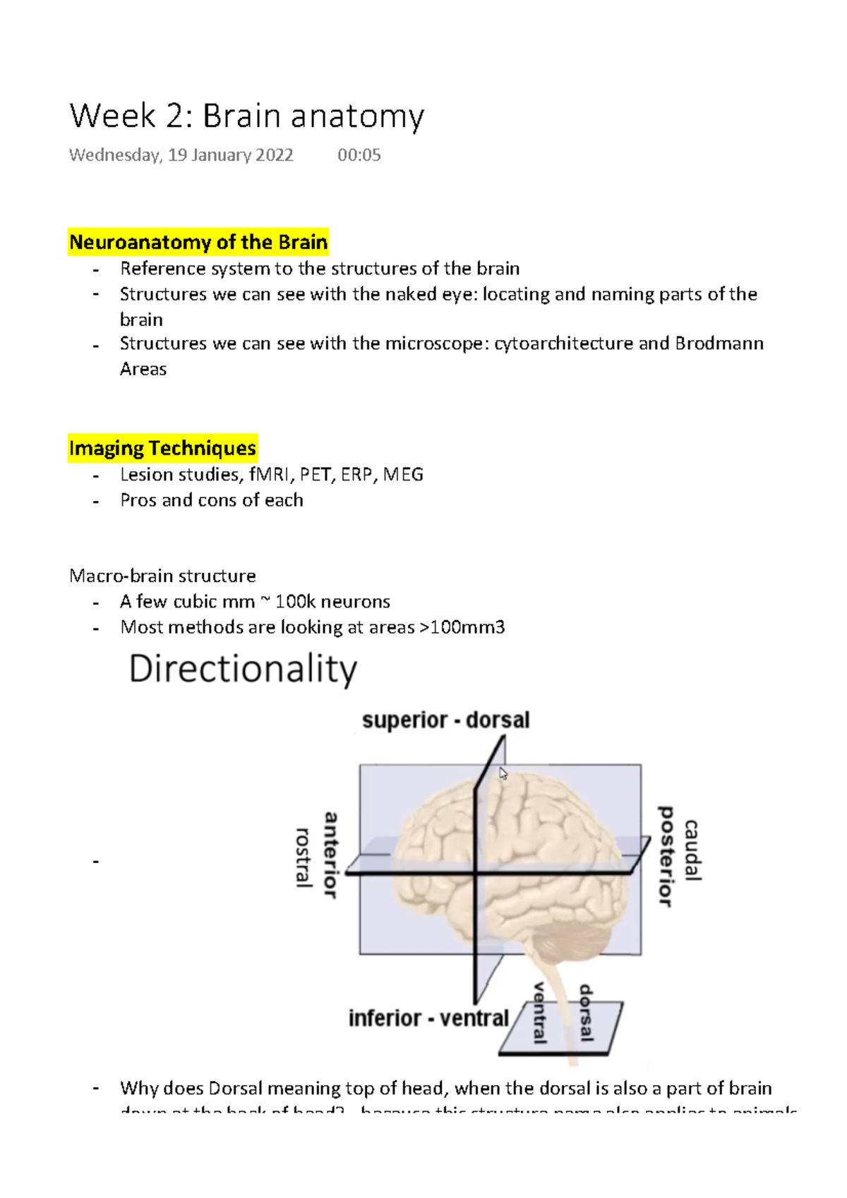 Week 2 Brain anatomy - Neuroanatomy of the Brain Reference system to ...