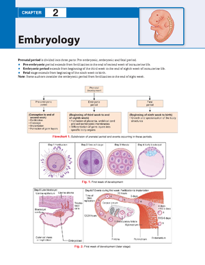 1st YEAR Anatomy Chapter WISE MCQ BOOK ( Updated Review)-1 - ANATOMY ...