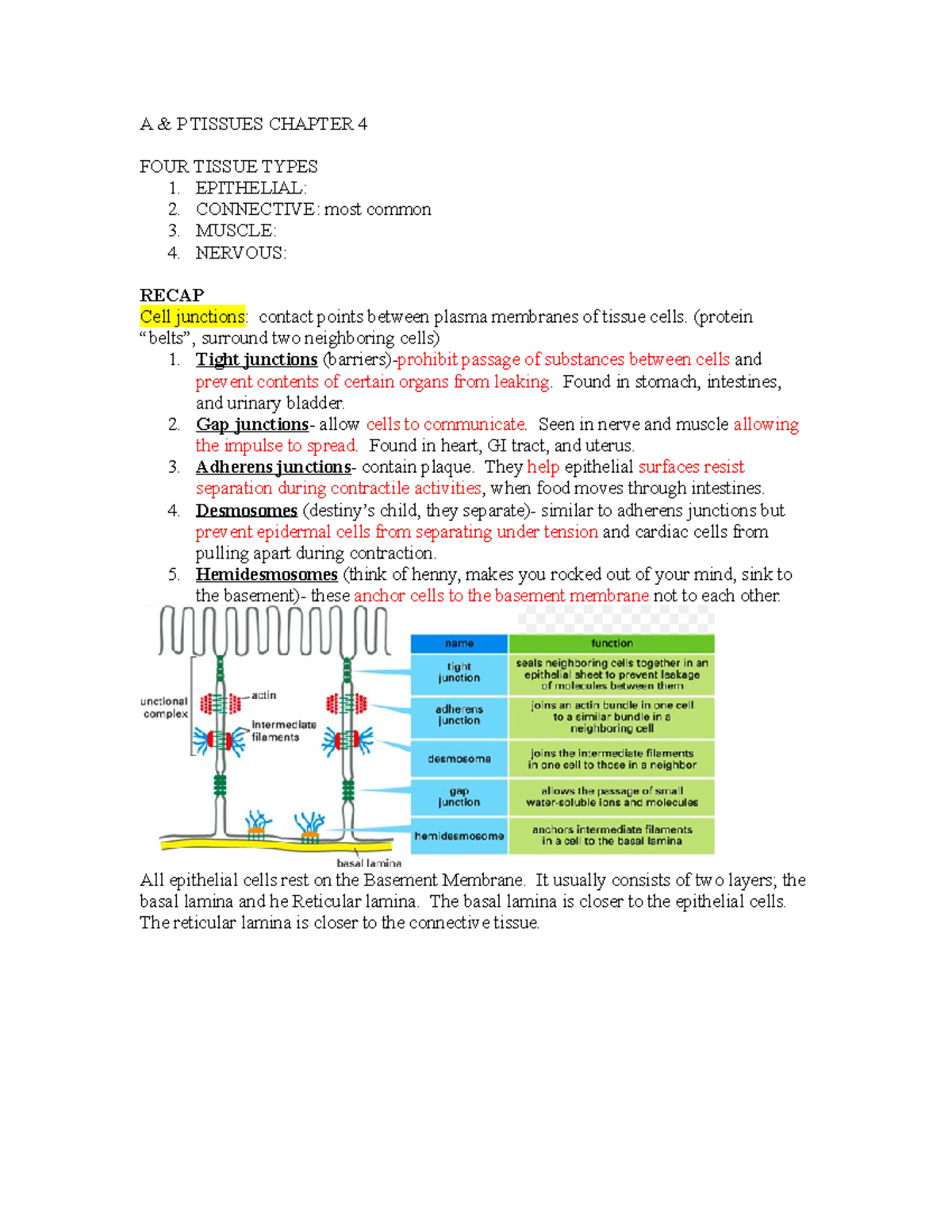 A&P Chapter 4 Tissues - Lecture notes 2,3 - A & P TISSUES CHAPTER 4 ...