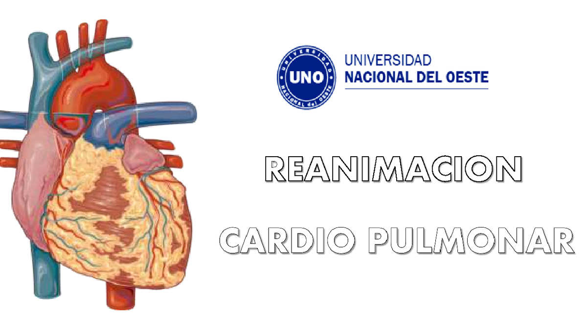 Rcp basico y avanzado - bbbbbbbb - PARO RESPIRATORIO Y CARDIACO Cese de la respiración funcional ...