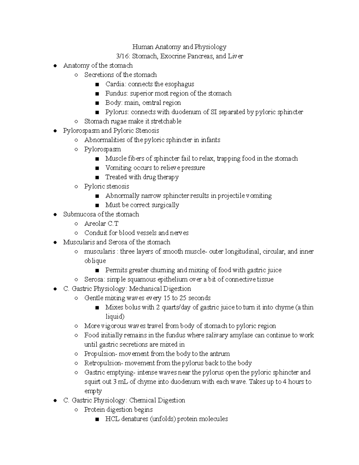 The Stomach, Exocrine Pancreas, and the Liver Lecture Notes - Human ...
