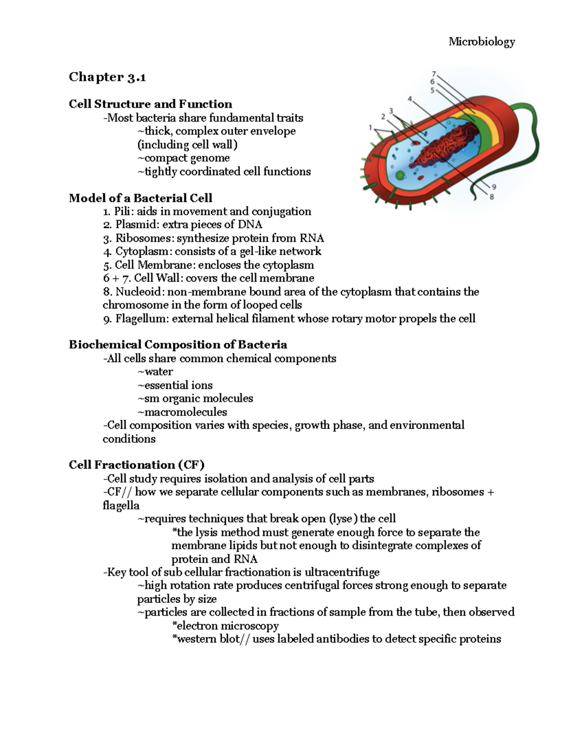 Micro 3.1 Outline - Microbiology Chapter 3. Cell Structure and Function ...