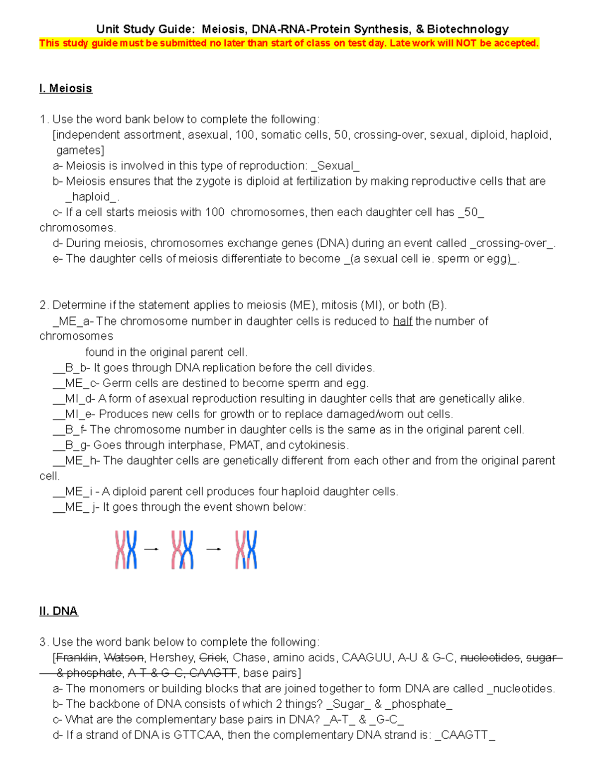Study guide.molecular genetics - Unit Study Guide: Meiosis, DNA-RNA ...