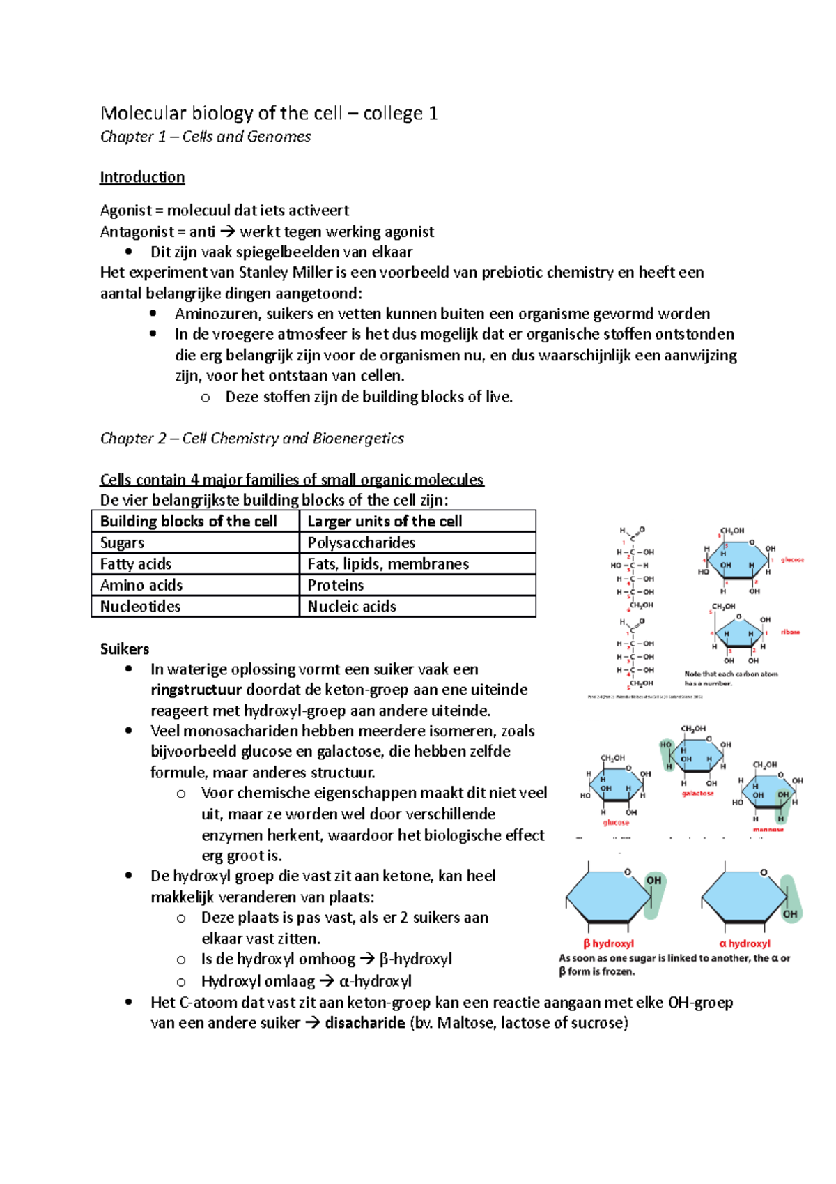 1 Molecular biology of the cell 1 - o Deze stoffen zijn de building ...