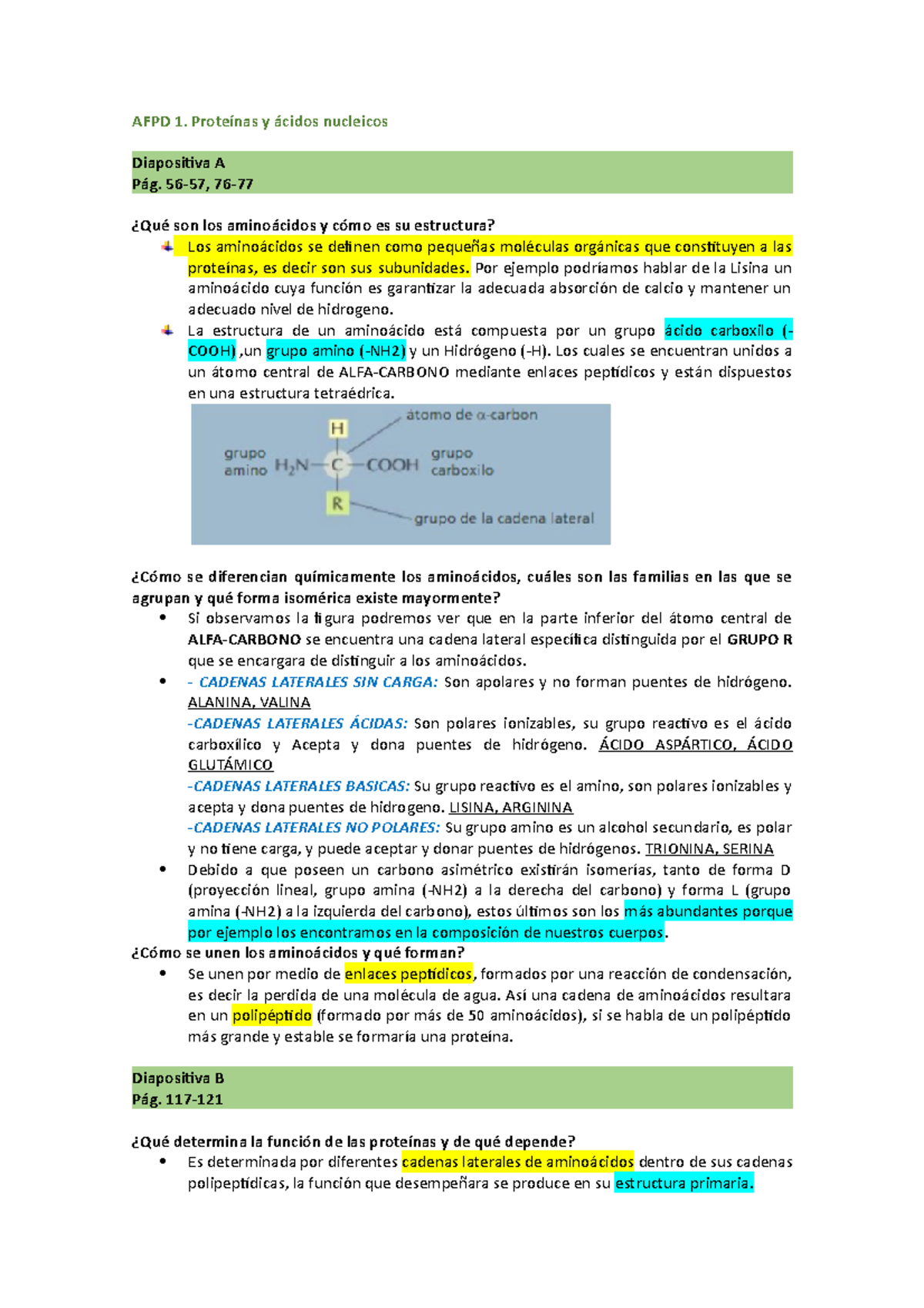 AFPD1 Proteinas y acidos nucleicos 2022 I preguntas guía - AFPD 1. Proteínas y ácidos nucleicos ...
