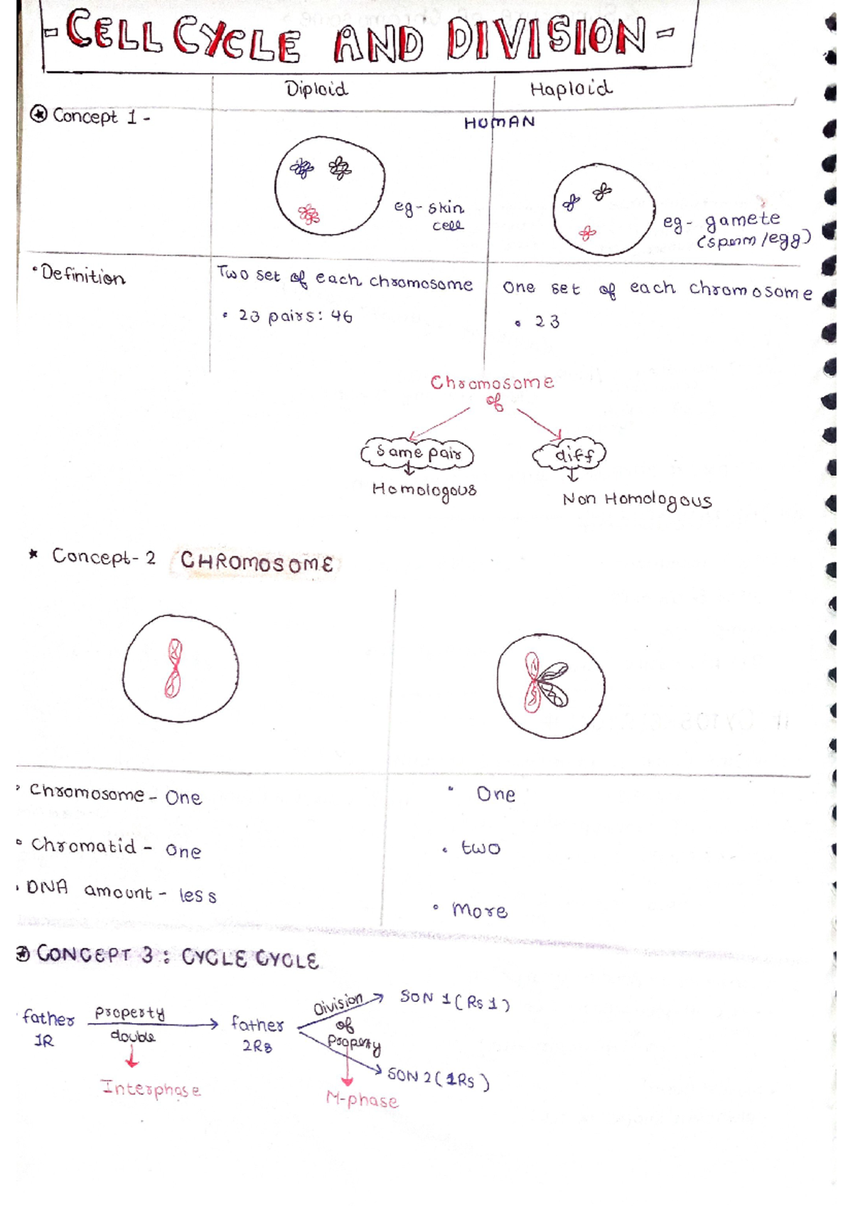 CELL Cycle AND Division ,Mitotis - CELL CYCLE AND DIVISION D Diploid ...