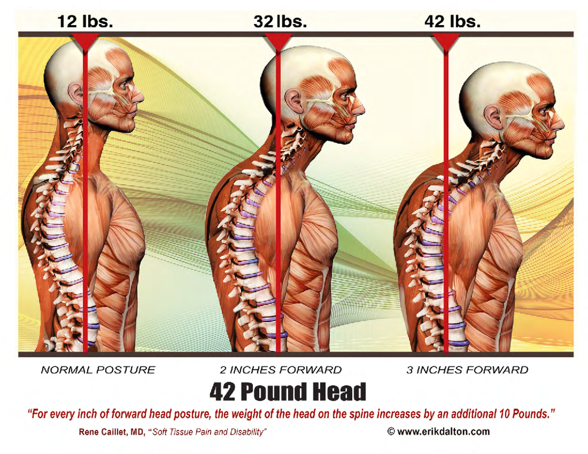 42 pound head poster instructions - Ask them if you can take a picture ...
