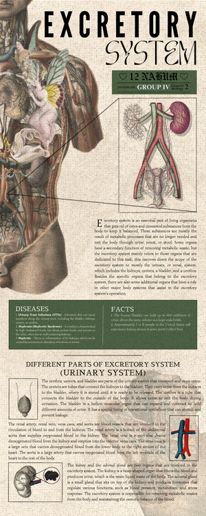Infographic Activity 1 HRGP - TIPS TIPS STUDY A V O I ####### D P R O C ...