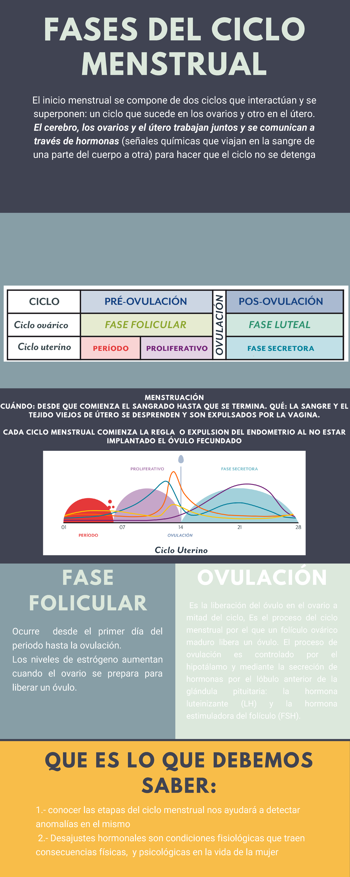 Fases DEL Ciclo Menstrual Materno Infantil - El inicio menstrual se ...