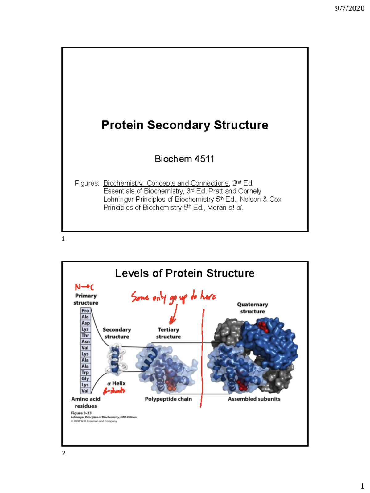 Chapter 6 - Protein Secondary Structure - Protein Secondary Structure ...