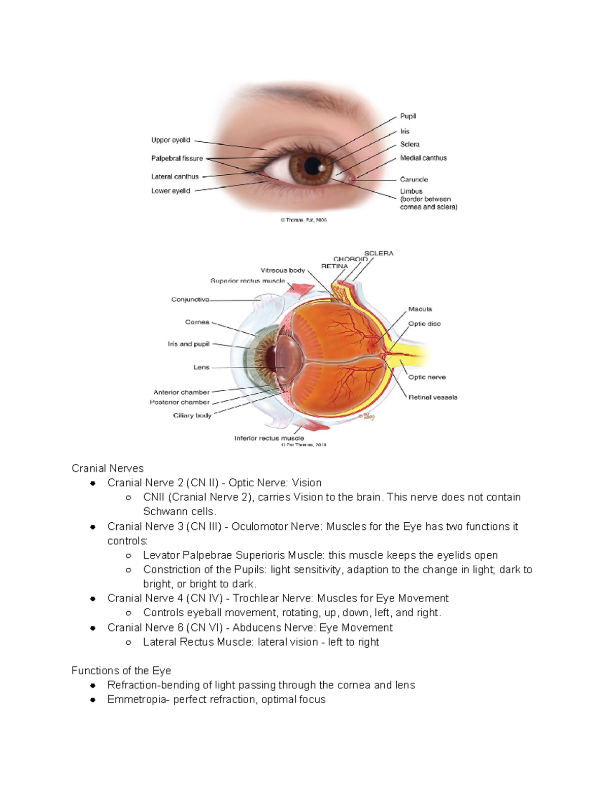 Exam 1 Module 1 Ocular Care - Cranial Nerves Cranial Nerve 2 (CN II ...