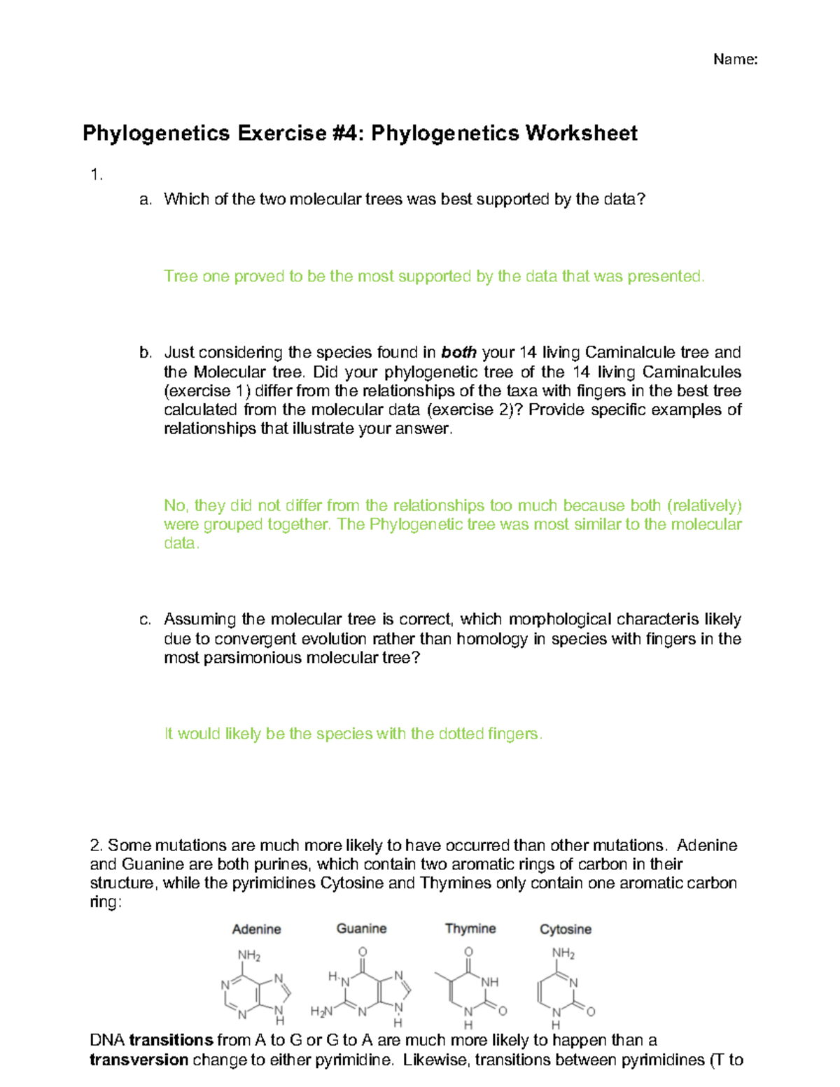 F23 1108L-Phylogenetics Worksheet 1 - Phylogenetics Exercise #4: Phylogenetics Worksheet 1. a ...