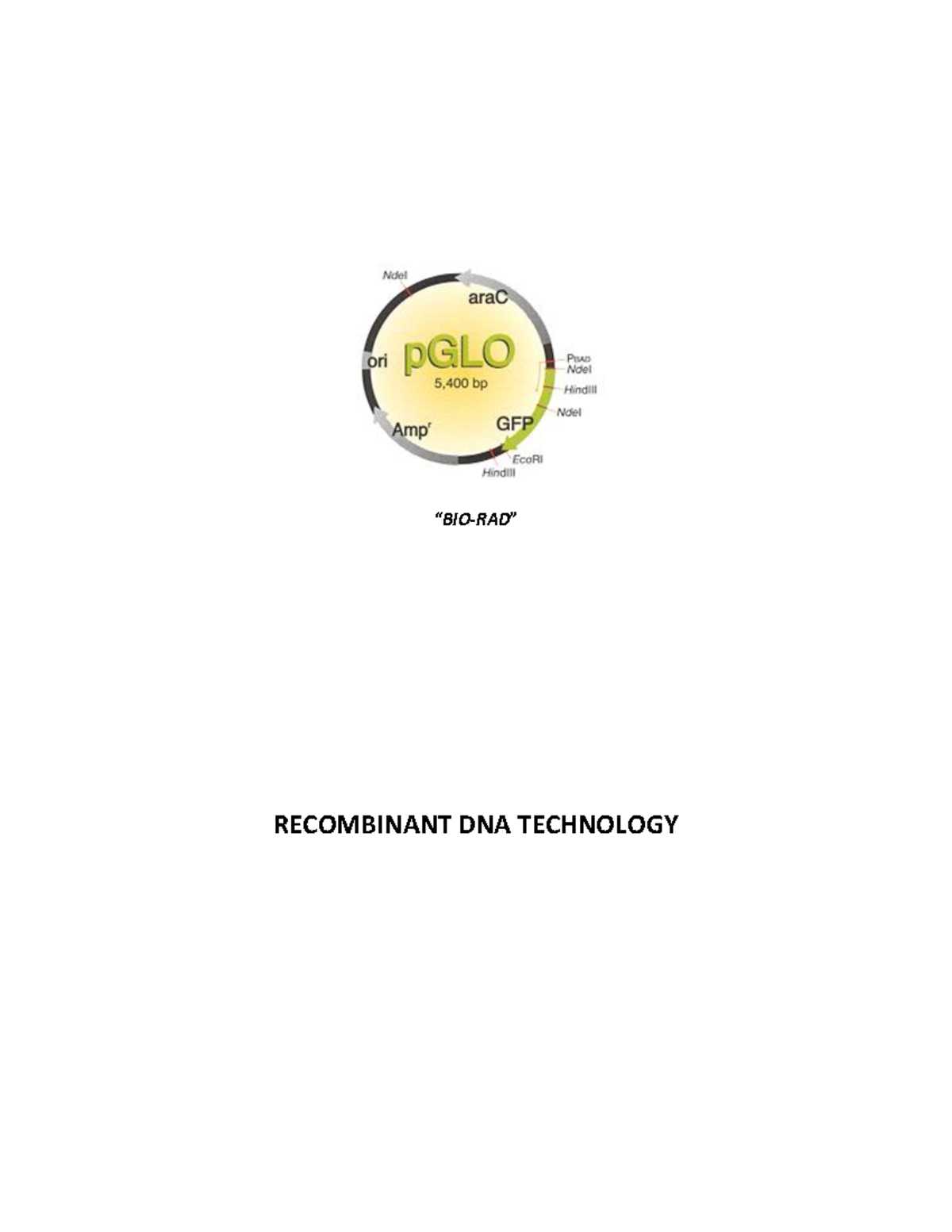 P GLO transformation lab - “BIO-RAD” RECOMBINANT DNA TECHNOLOGY LAB ...