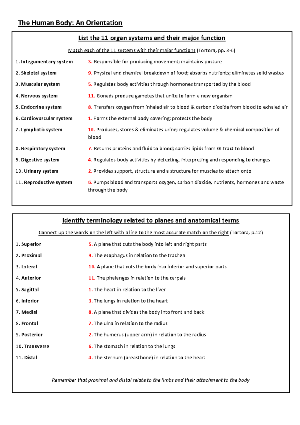 Tutorial 1 Answers Anatomical and Directional Terms Organ systems ...
