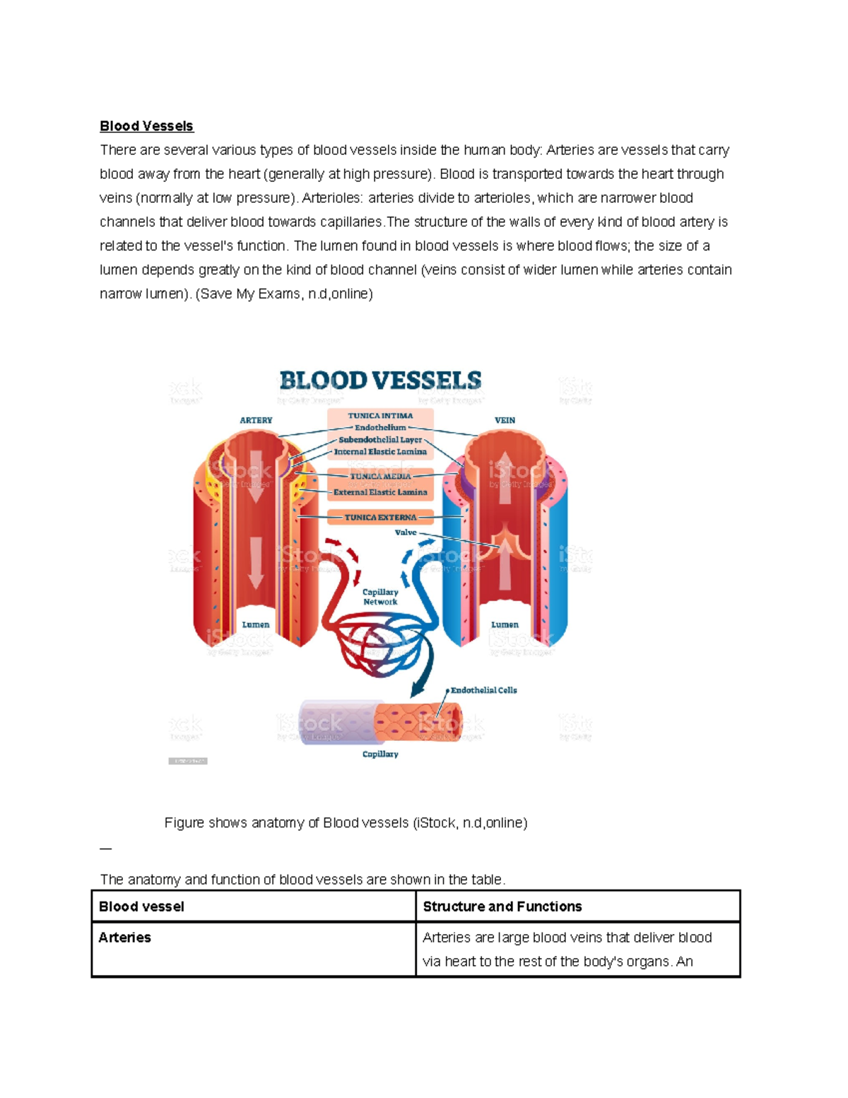 Untitled document (43) - Blood Vessels There are several various types ...