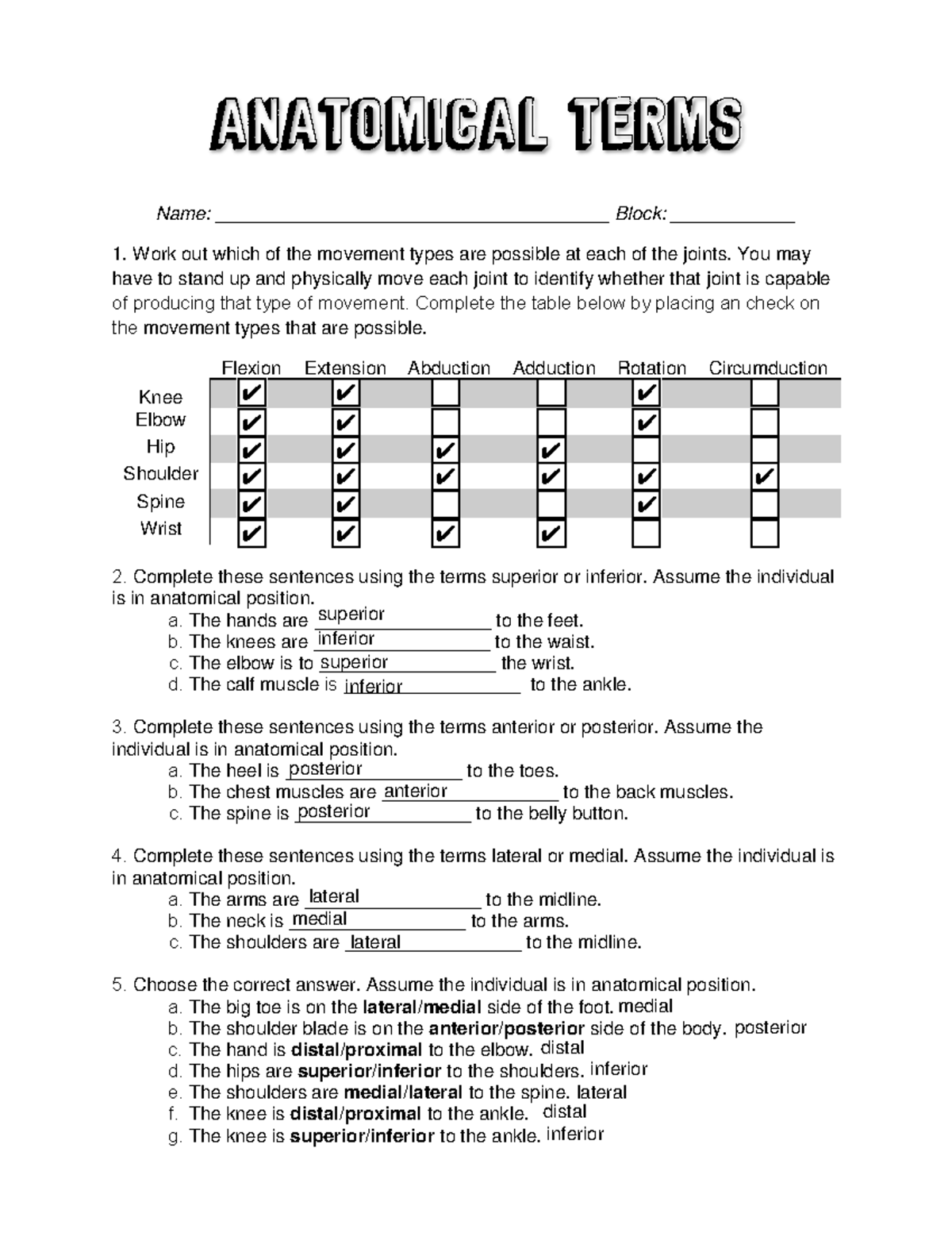 Movement Terminology Worksheet - ANATOMICAL TERMS Name