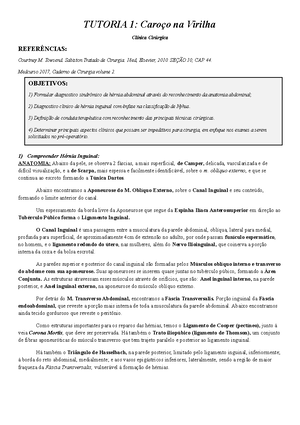Anatomia Proctológica - CANAL ANAL Estrutura tubular reta no final do ...