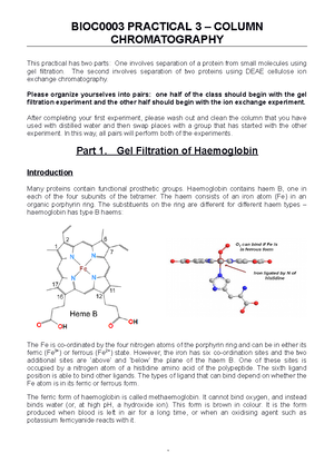 APA 7th Edition student-paper-setup-guide - 7th Edition Student Paper ...