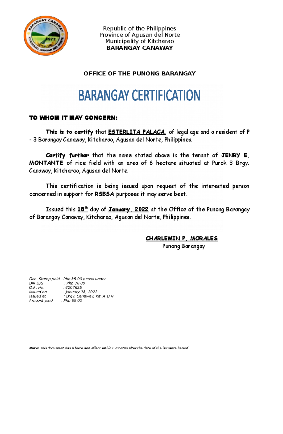 Cert Rsbsa - information - Republic of the Philippines Province of ...