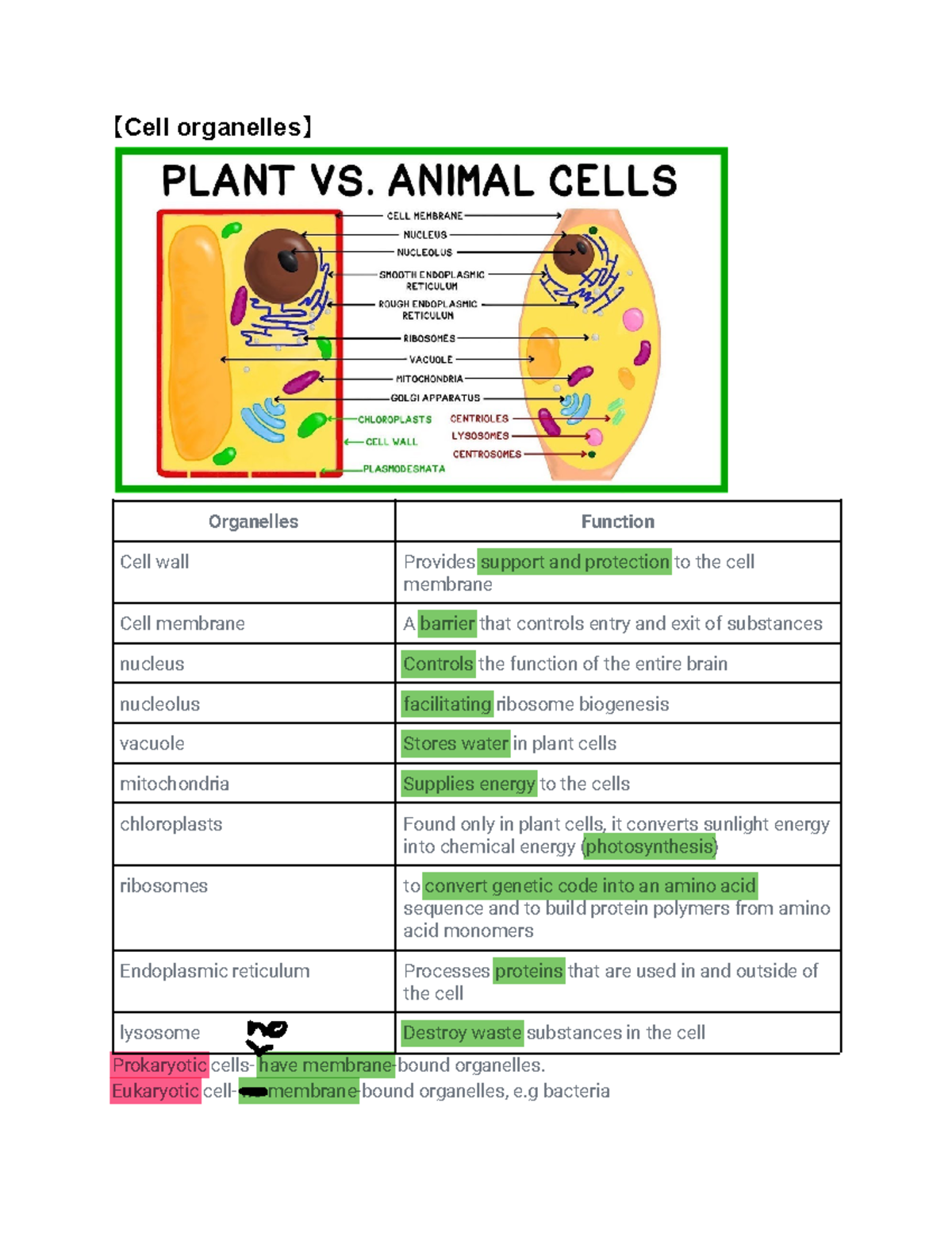 1 biology - notes about cells - 【Cell organelles】 Organelles Function ...
