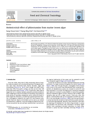 Standard Plan for Multi Span PCDG Bridge - Bachelor of Science in Civil ...