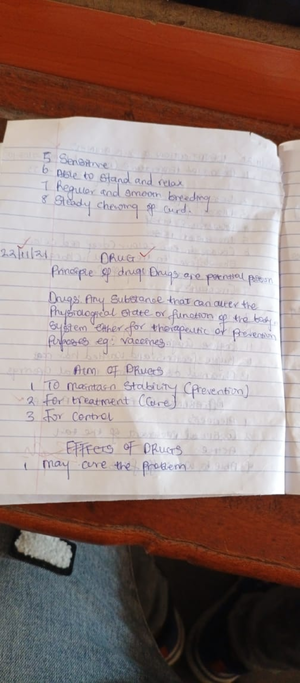 How to Code A Beginner's Guide to Mastering Programming - learncode ...