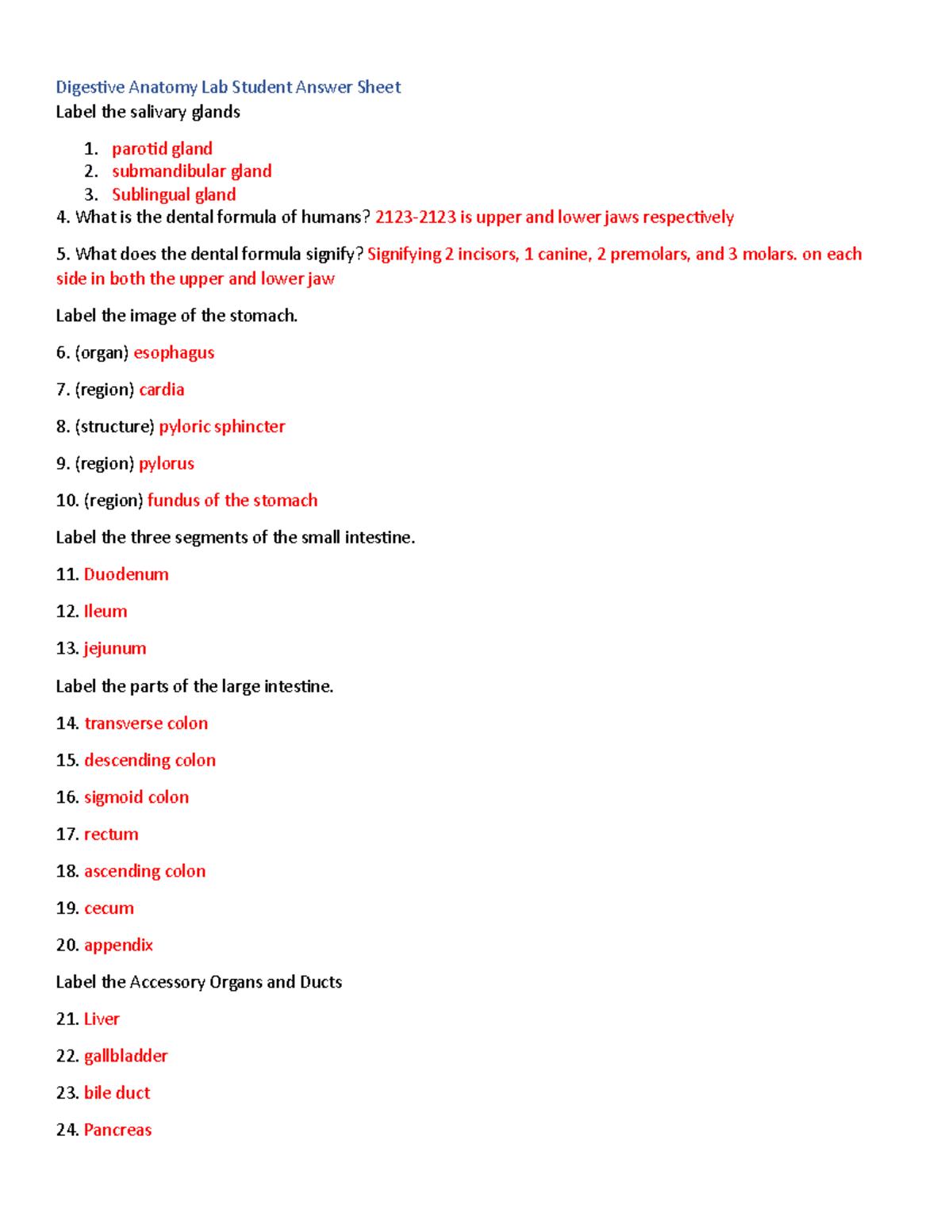 Digestive Anatomy Lab Student Worksheet - Digestive Anatomy Lab Student ...