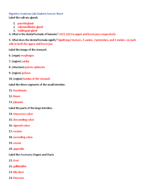 Endocrine Anatomy Student Answer Sheet - Anatomy of the Endocrine ...